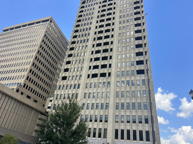 New immigration court coming to BR