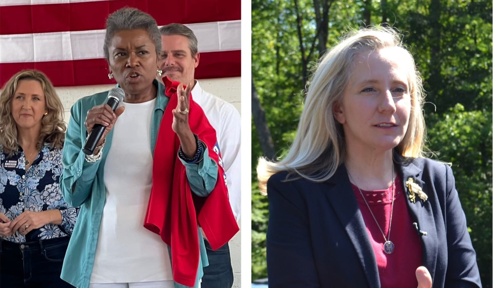 Democratic donor backs Earle-Sears after racist protest sign