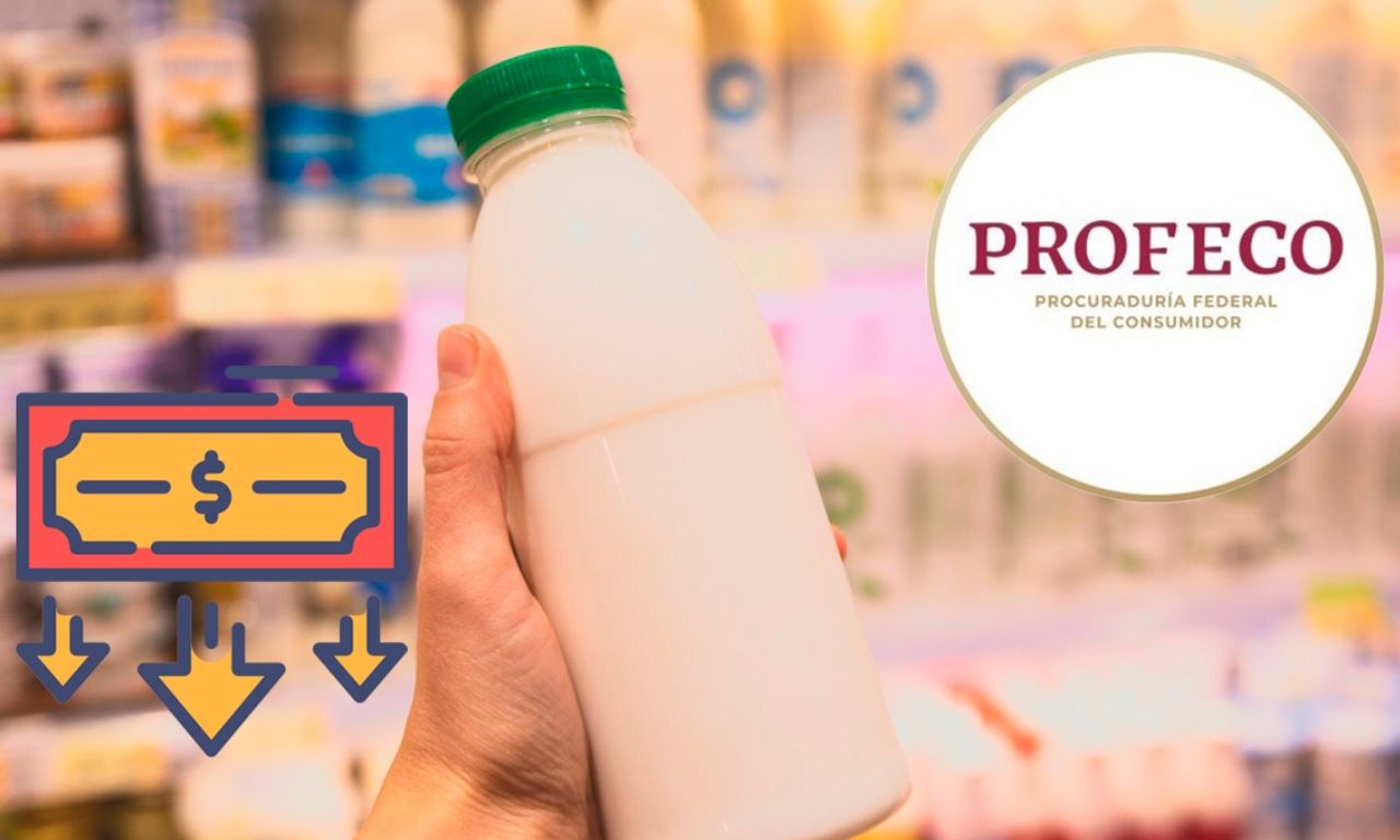 Profeco revela las marcas de leche enteras más baratas y saludables que ...