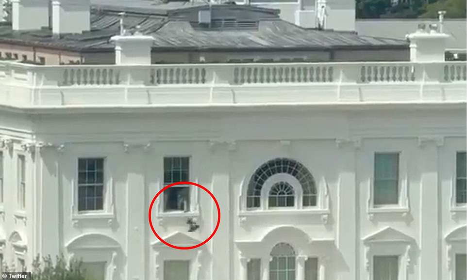 Viral footage shows object being thrown out of White House window