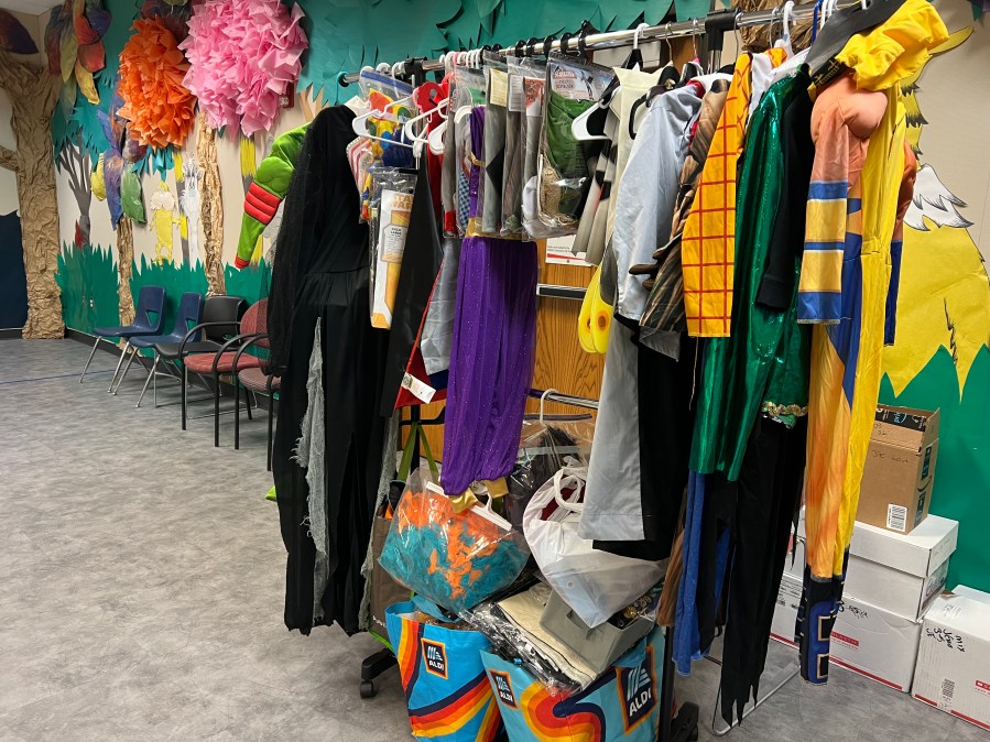 Free Halloween costumes up for grabs at Anderson Co. Library