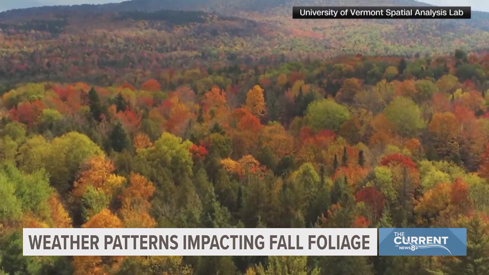 Fall foliage expected sooner this year