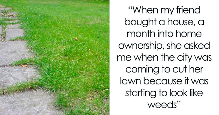 32 People Share How They Witnessed Someone Being Completely Clueless At ...