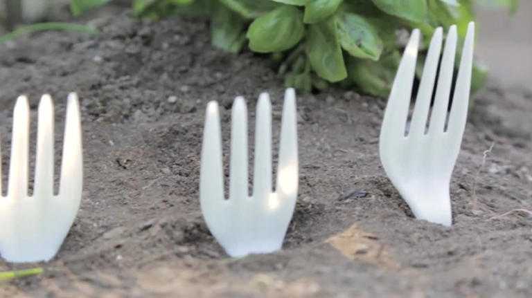 The Smart Reason You Might See Plastic Forks In Someone's Garden