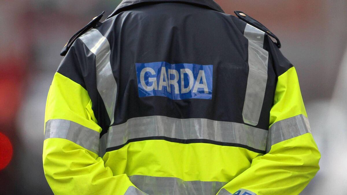 Cork woman who allegedly called garda a 'fat faggott' has public order ...