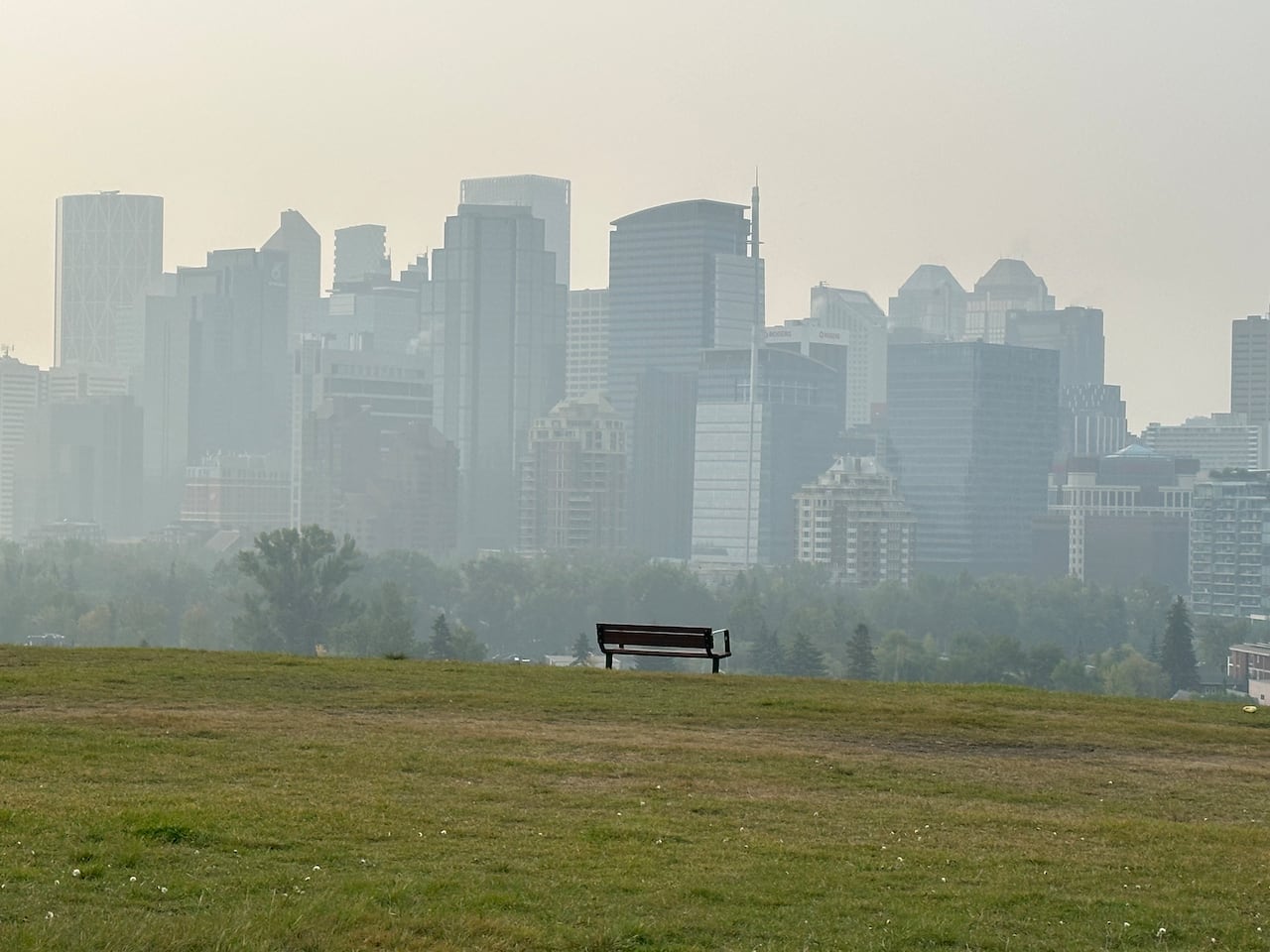 Air quality warning issued for Calgary as wildfire smoke blankets much ...
