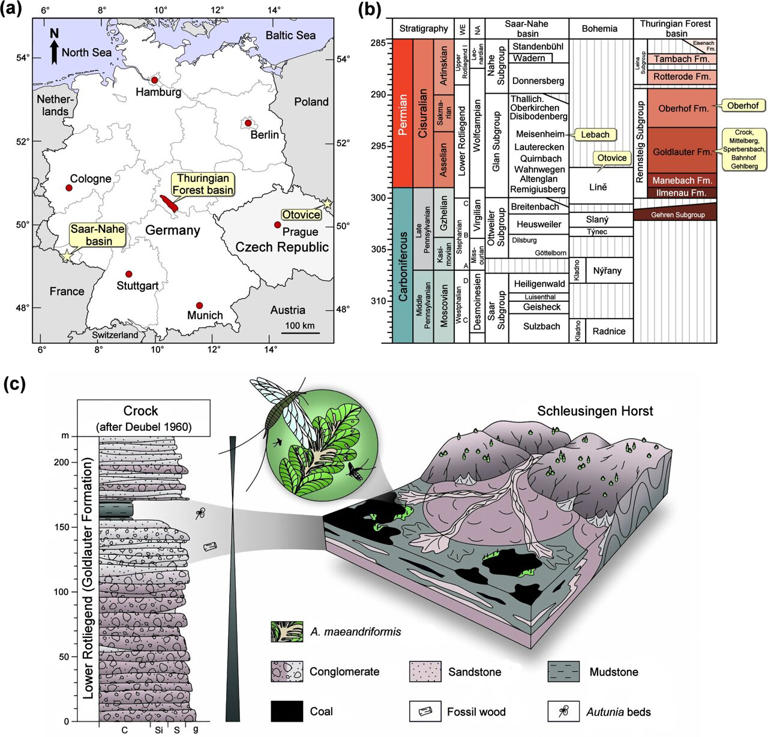 Leaf miners identified as oldest insect plague in the history of Earth