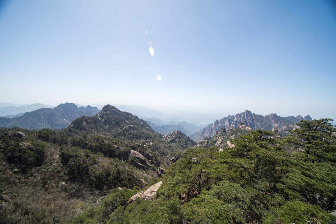 1-foot-long predator with yellow eyes found lurking in China. It's a ...