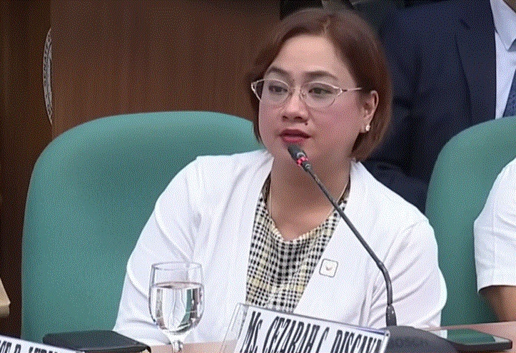 House panel compels Discaya, flood contractors to face Sept. 9 probe