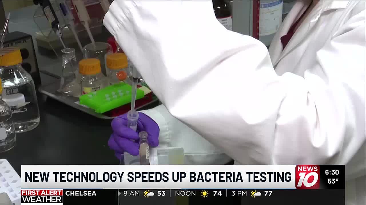 MSU researcher develops new technology to speed up bacteria testing