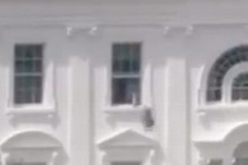 White House sheds light on bizarre video of person throwing things out ...