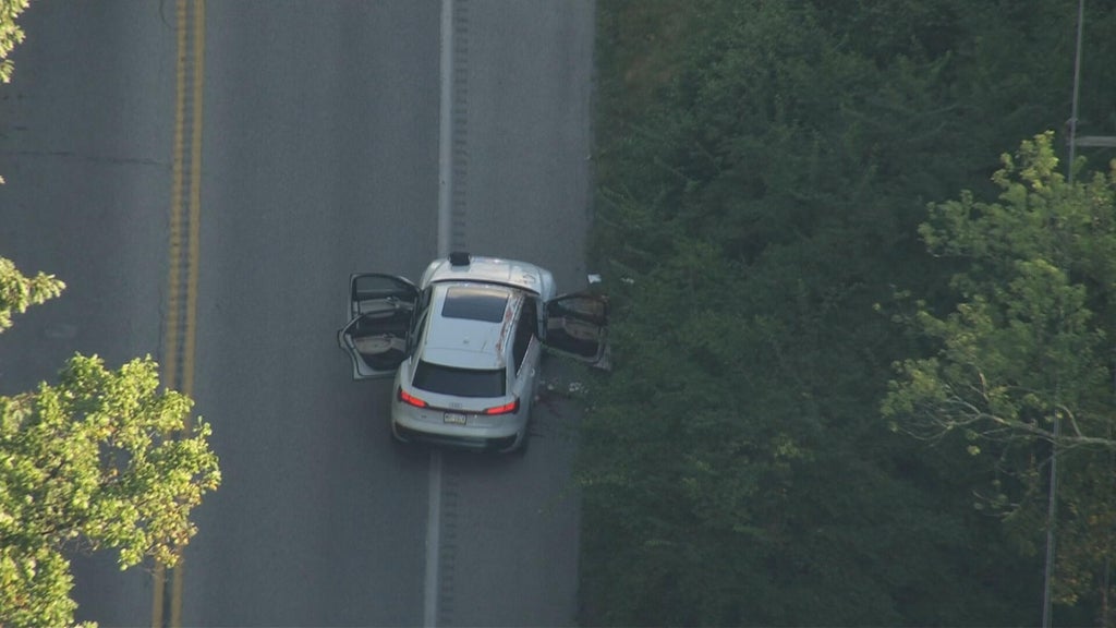 Deer crashes into car windshield, killing juvenile in Chester County ...