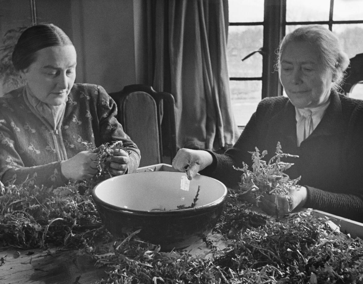 Popular meals from the great depression that no one eats anymore