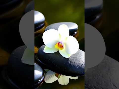 Deep sleep music, calming music, insomnia, sleep, relaxing music