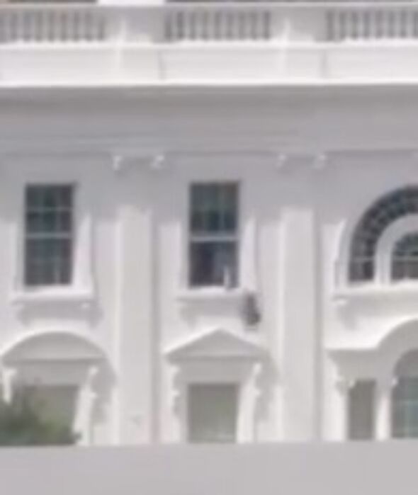 Donald Trump explains why White House windows cannot open despite viral ...
