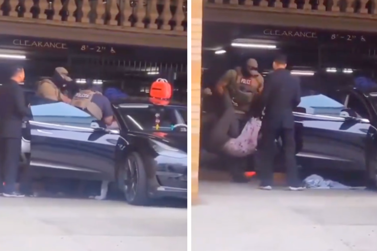 TikTok influencer who livestreamed her own arrest was targeted for ...