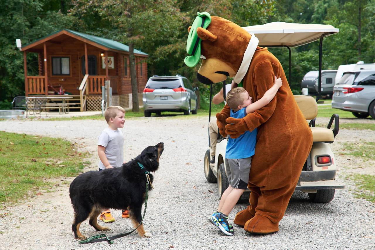 8 top dog-friendly fall camping destinations and pet-friendly tips to ...