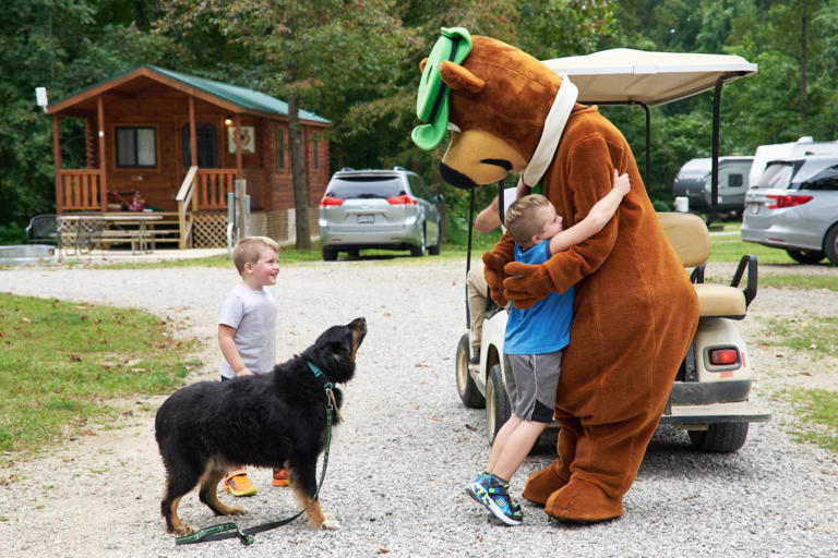 8 top dog-friendly fall camping destinations and pet-friendly tips to ...