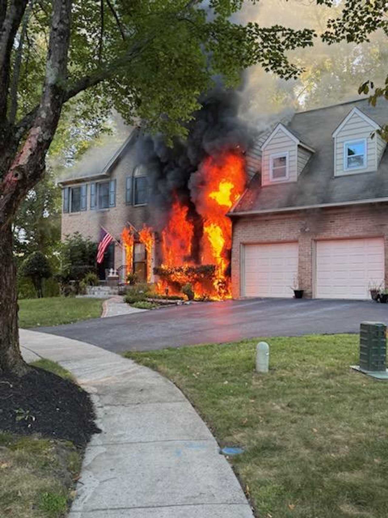 Maryland Family Loses Home In $1M Blaze, Dog Revived By Firefighters As ...
