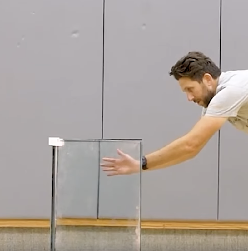 This cloaking device actually works!