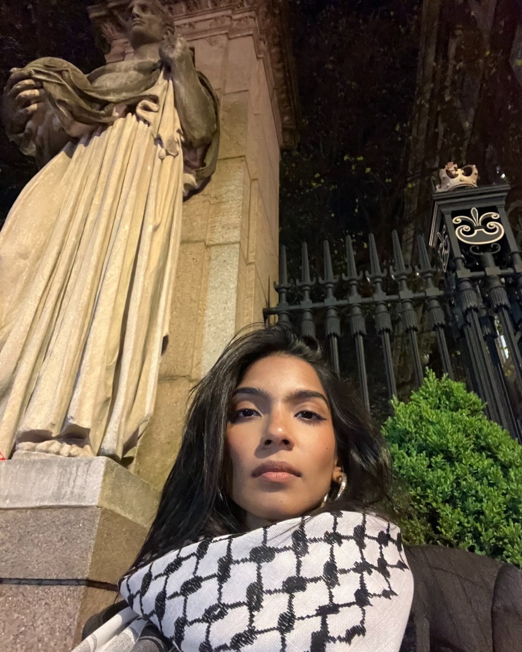 Zohran Mamdani’s brain trust is full of young, privileged lefty ...