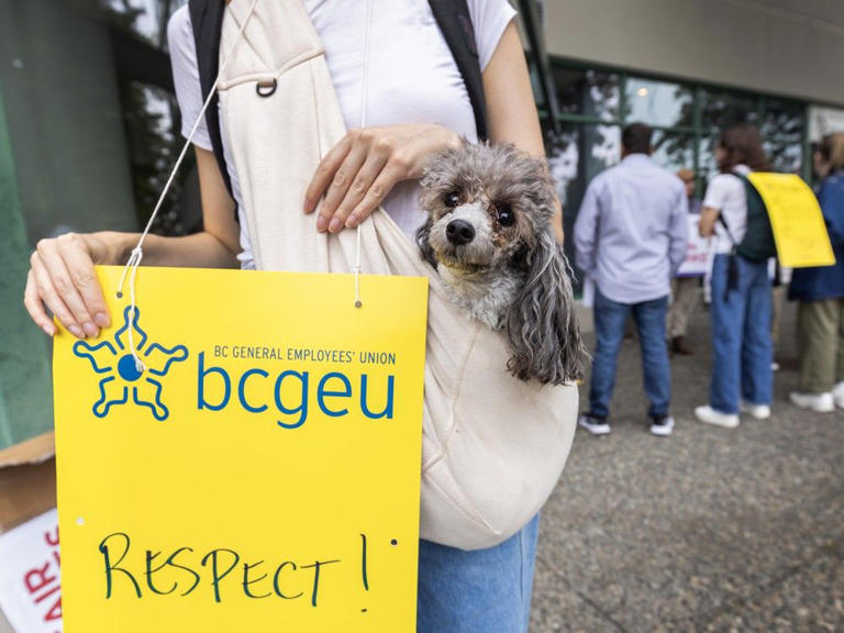 B.C. public-sector union expands job action to front-line services