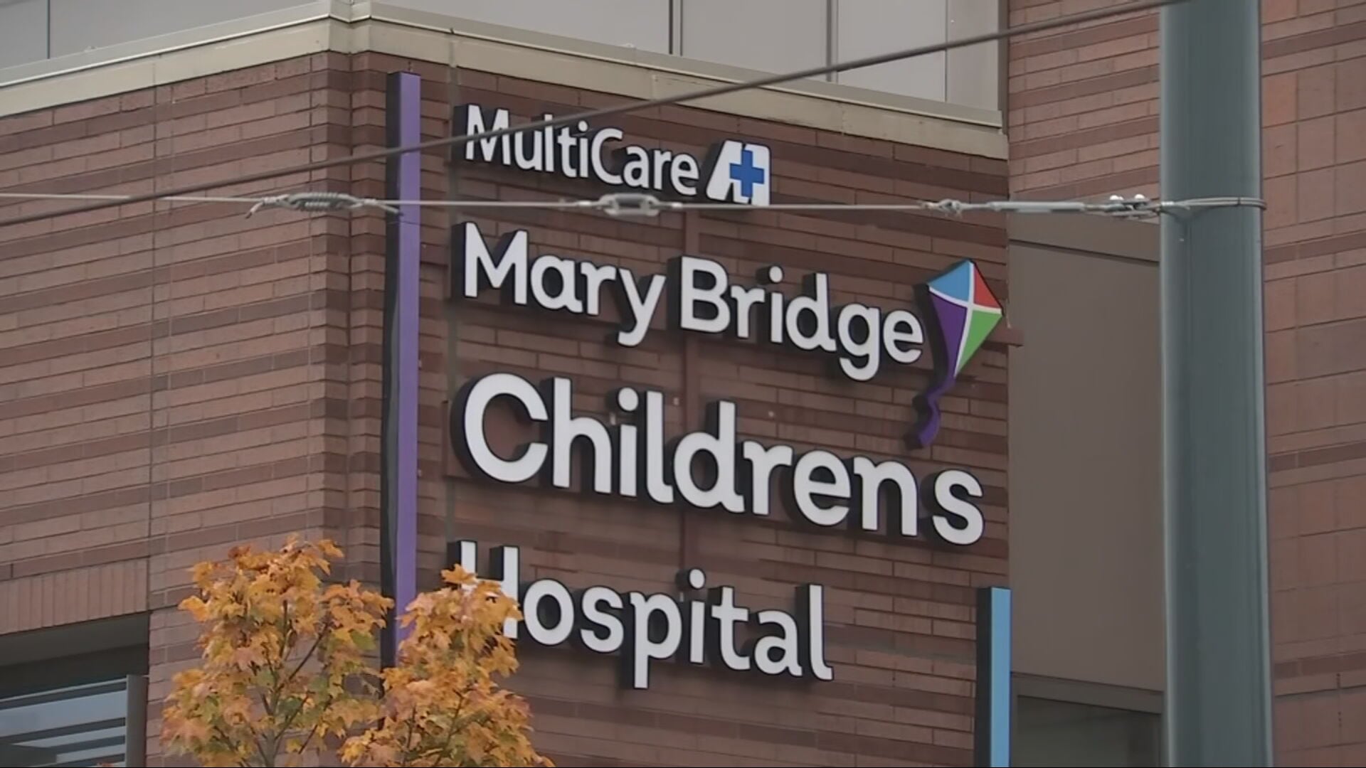 Mary Bridge Children’s Hospital closing gender care clinic, citing ...