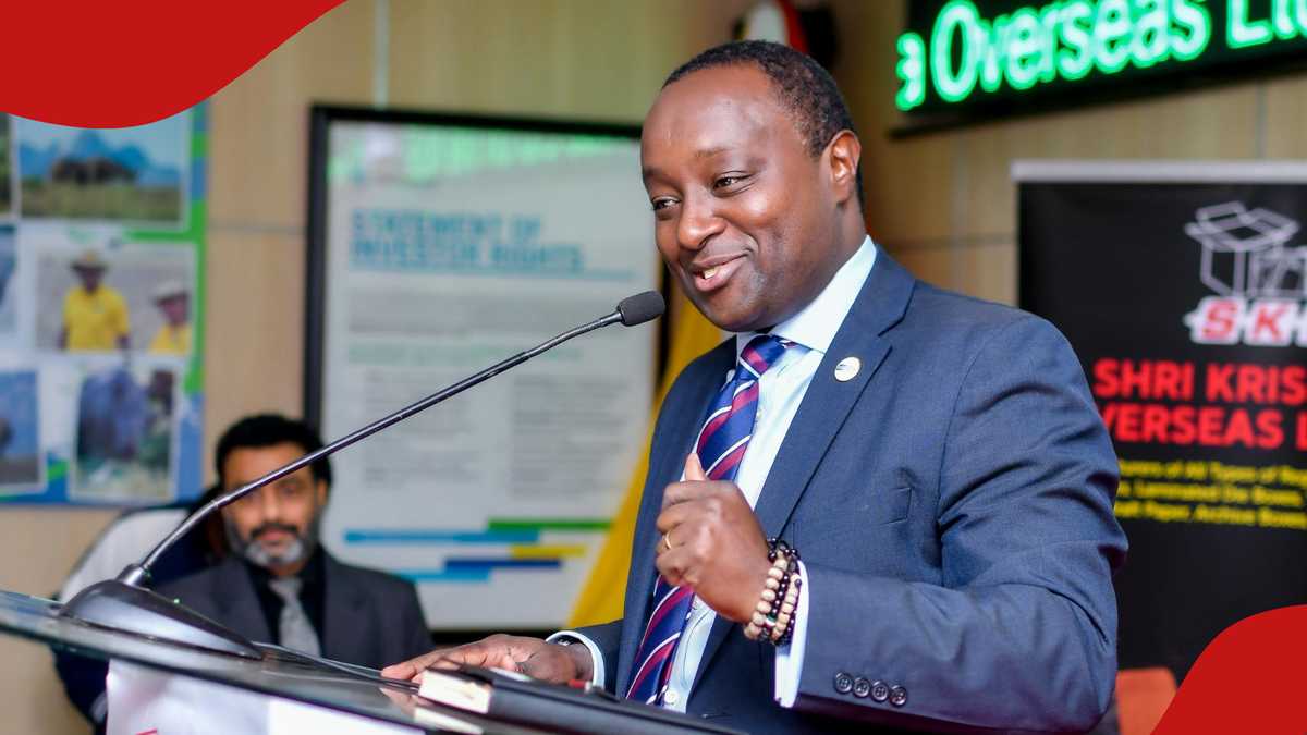 NSE: 13 Kenyan companies record highest stock prices in 52 weeks