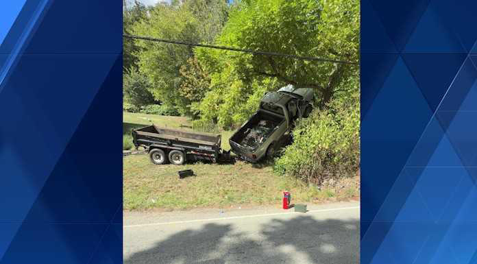 Driver hospitalized after truck crashes into tree in Elizabeth Township
