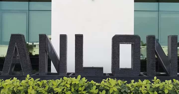 Anlon Healthcare IPO To List Today: Check Expected Listing Price Based ...