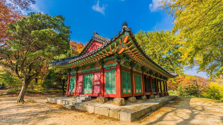 가볍게 걸어도 좋다… 가을마다 관광객 폭발하는 ‘단풍 성지’