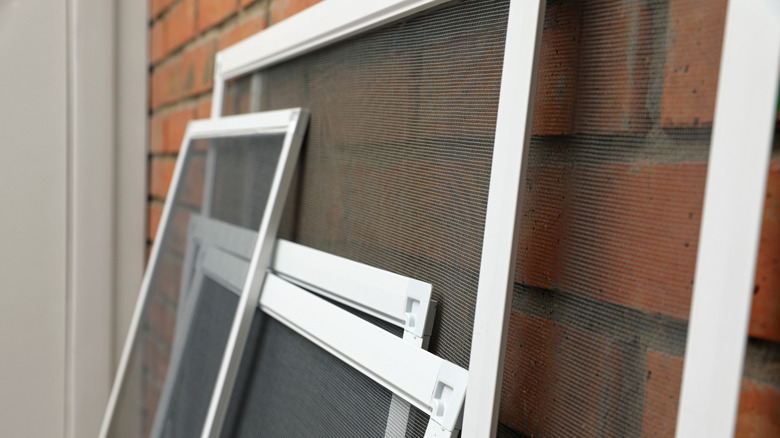 The Easiest Way To Clean Window Screens Is Hiding In Your Kitchen