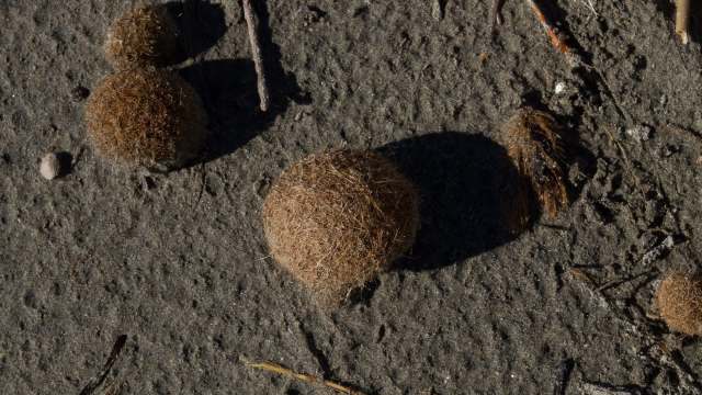 Experts uncover surprising impact behind mysterious 'Neptune balls ...