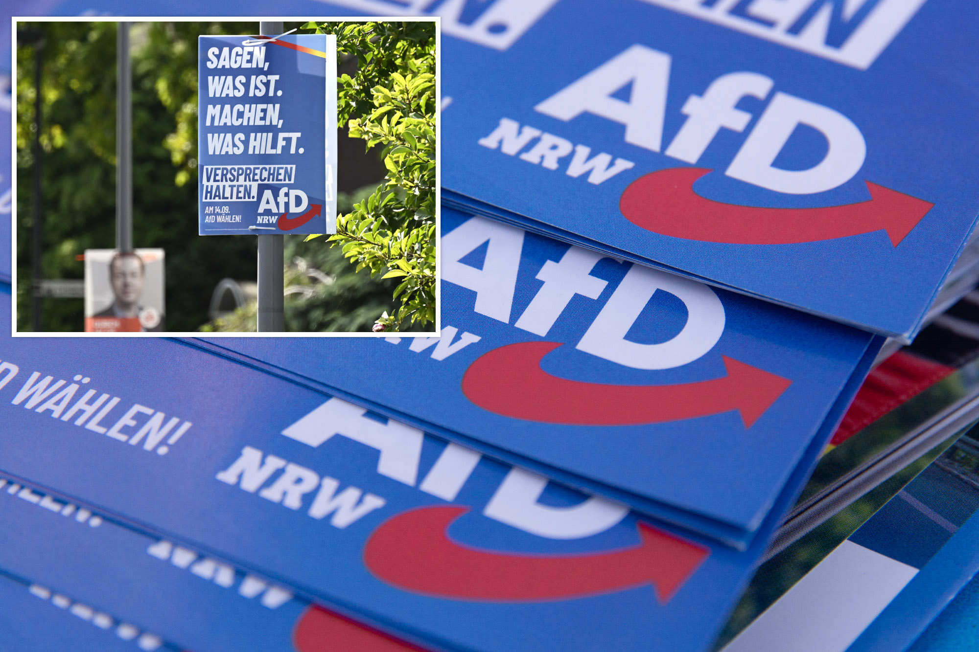 Six candidates from Germany’s right-wing AfD party die 13 days apart in ...
