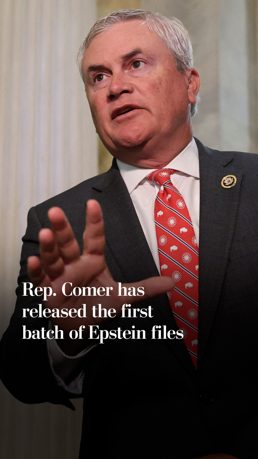 Rep. Comer has released the first batch of Epstein files