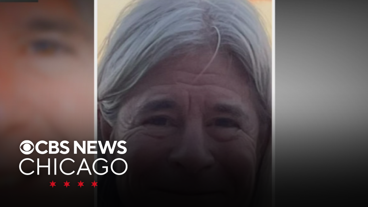 Northwestern University professor found after going missing, taken to ...