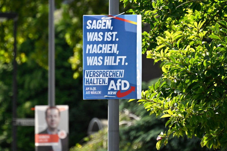 Six candidates from Germany’s right-wing AfD party die 13 days apart in ...