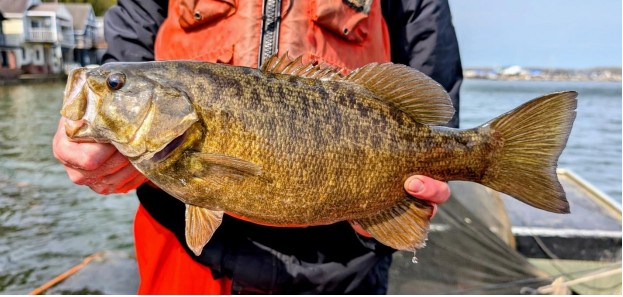 Bassmaster names three regional lakes among best places to fish for bass
