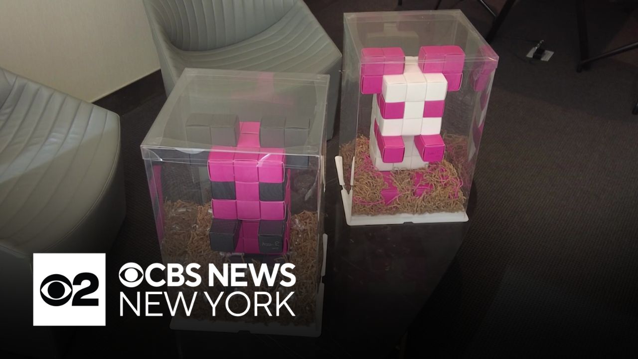 Manhattan teen raises money for breast cancer research through origami