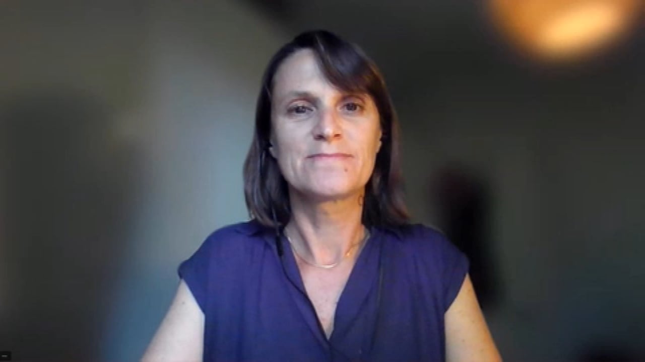 Electrifying cars not enough to cut greenhouse gas emissions in Quebec ...