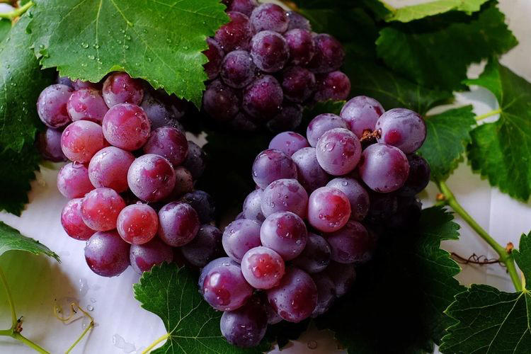 Buah Anggur Tak Sekadar Manis, Ini Khasiat Luar Biasa untuk Kesehatan Tubuh