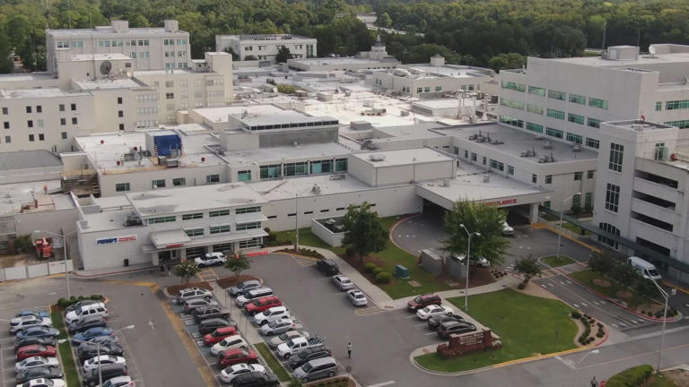 Woman posing as nurse attempts to access Savannah hospital clinical areas