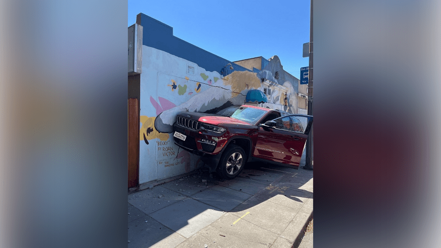 Chain reaction car crash veers into San Jose cat rescue center