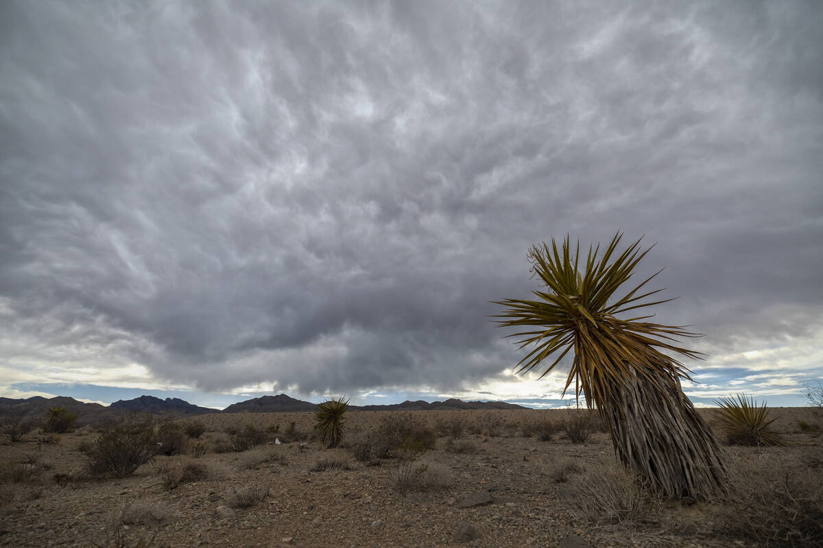Monsoon moisture sticking around Las Vegas Valley this week