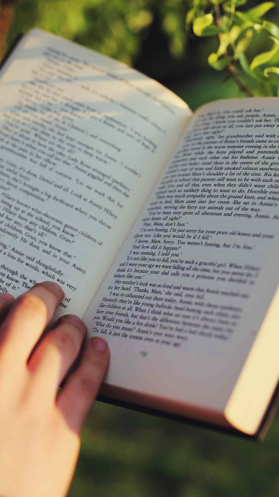 Top 5 Best-Selling Books of 2025: Must-Read