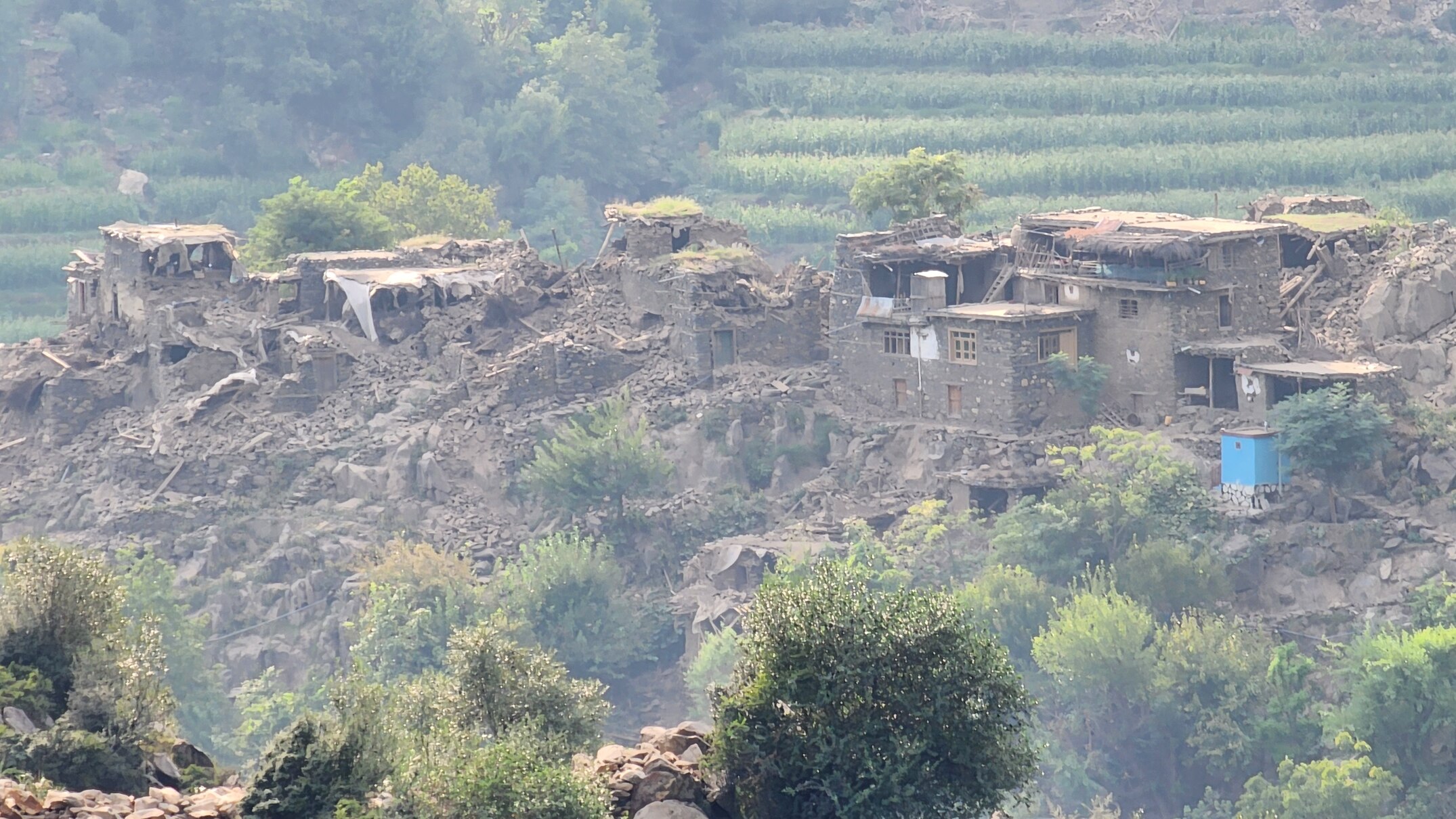 'Every family has lost someone': Afghan-Australians describe horror ...