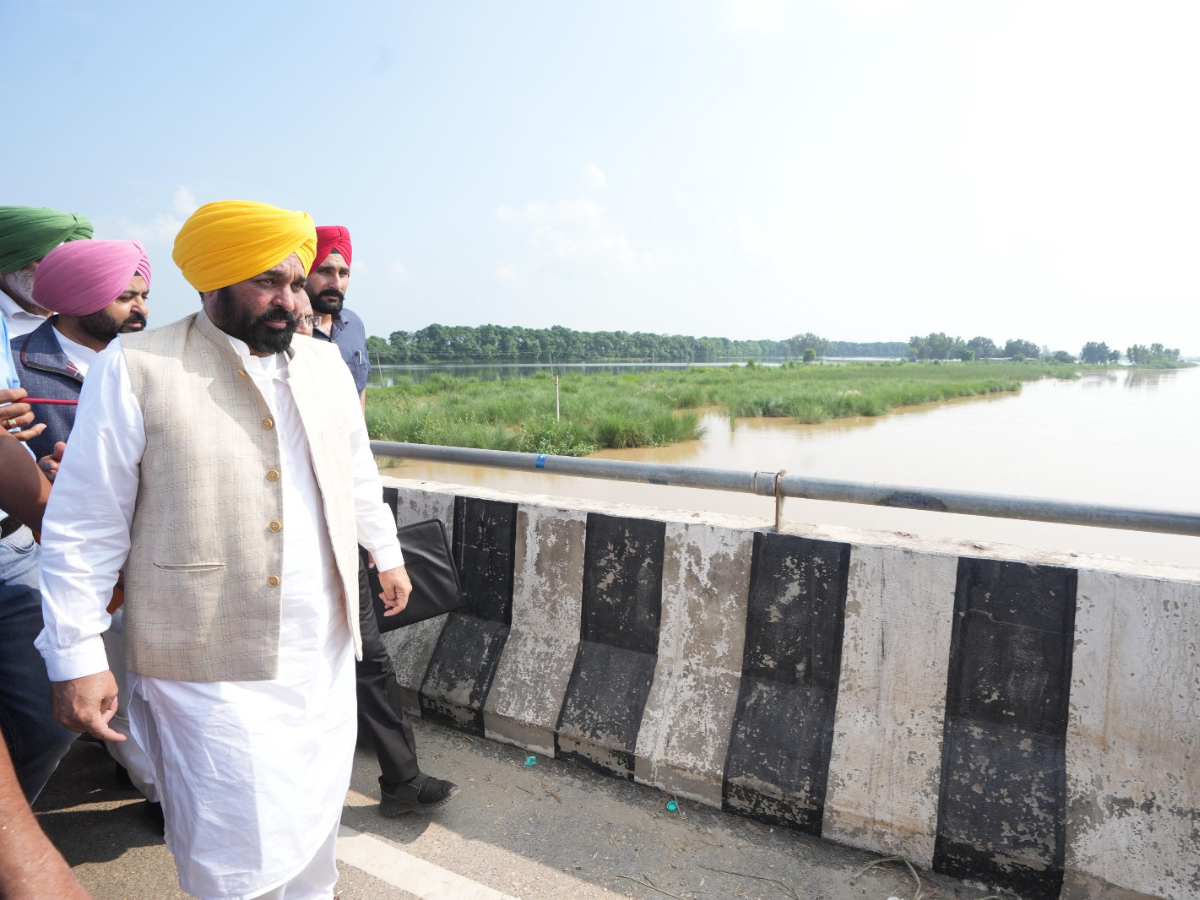 Punjab declares itself disaster-hit state as floods swamp 7 districts ...