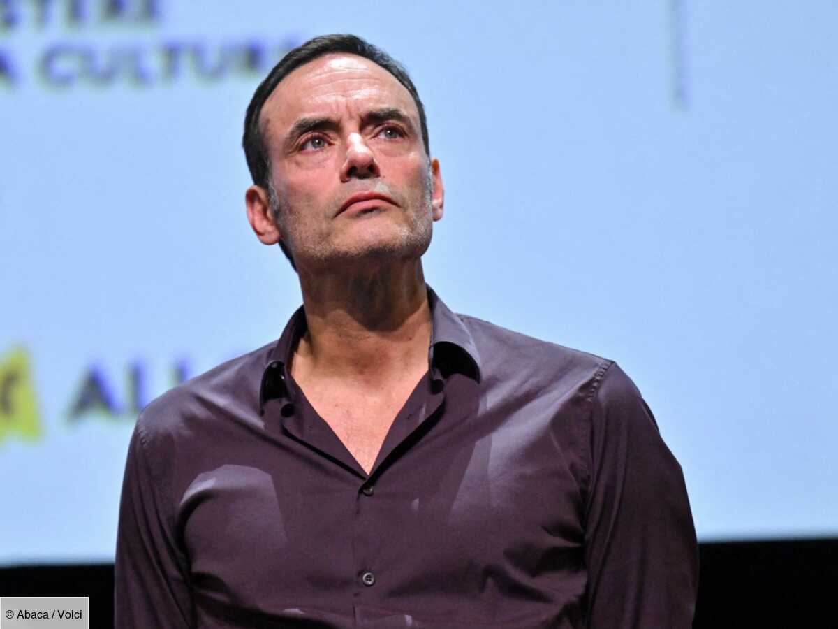 En pleine guerre d'héritage, Anthony Delon découvre qu'un objet d'une valeur de 17 000 euros a ...