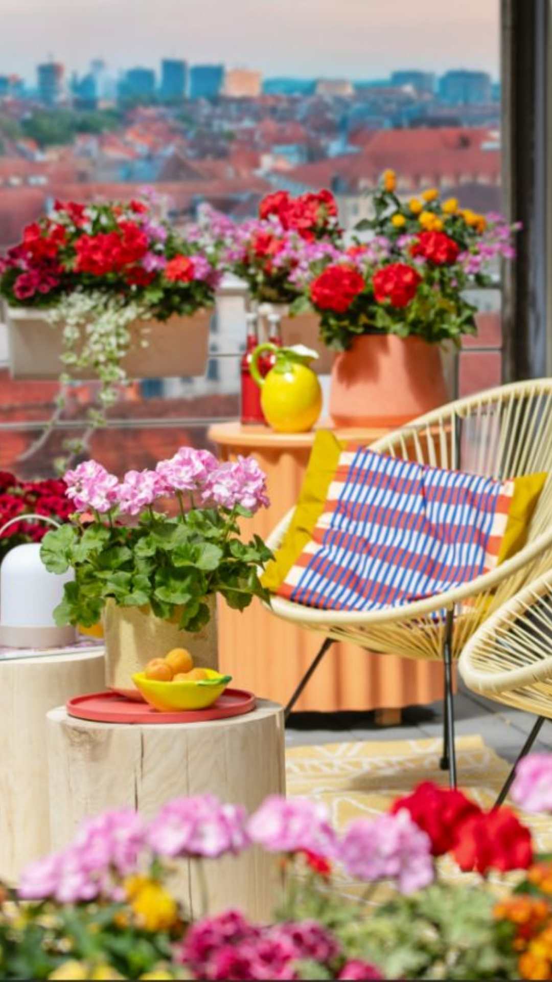 9 Colourful Plants That Will Thrive On Your Balcony