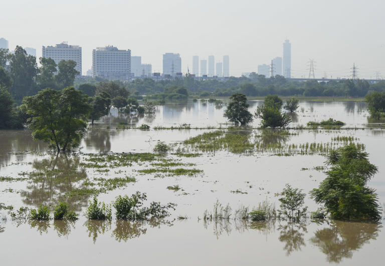 Yamuna level in Delhi continues to rise, evacuation underway